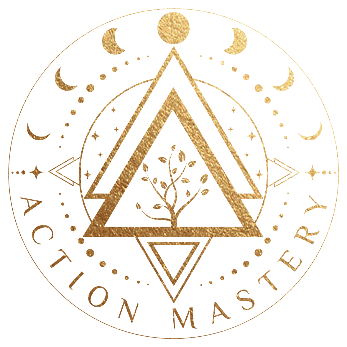 The Action Mastery Coaching Program